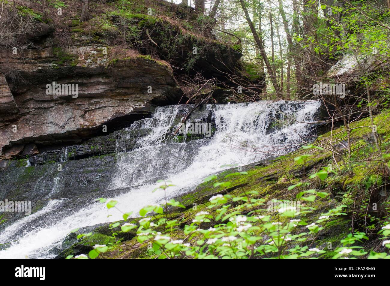 Deans ravine waterfall flowing over the cliffs in Falls Village ...