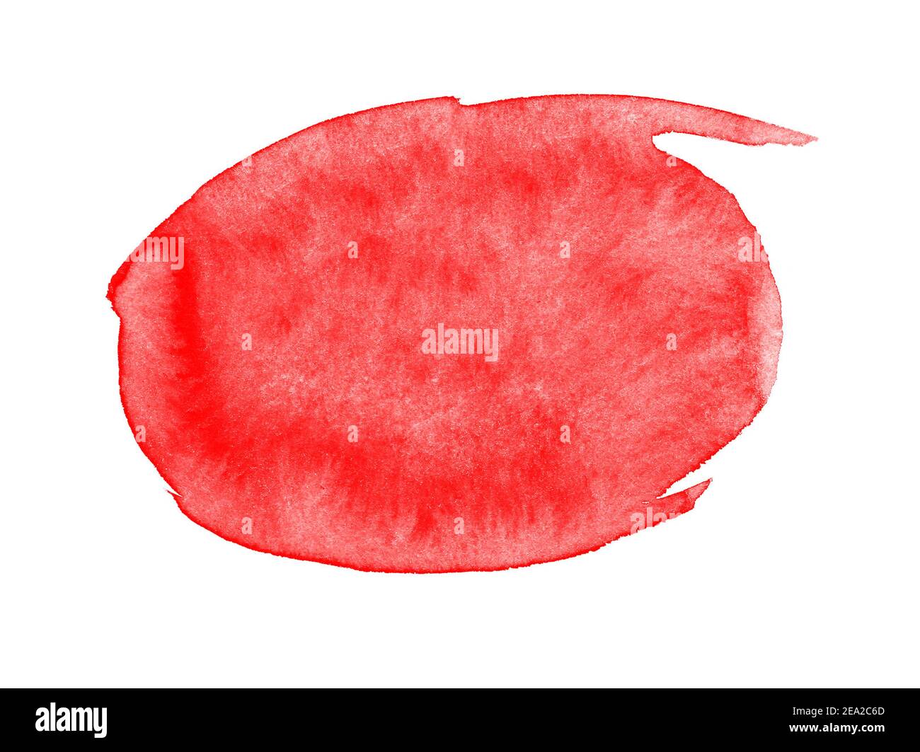 Abstract red circle watercolor brush isolated on whitefor art design ...