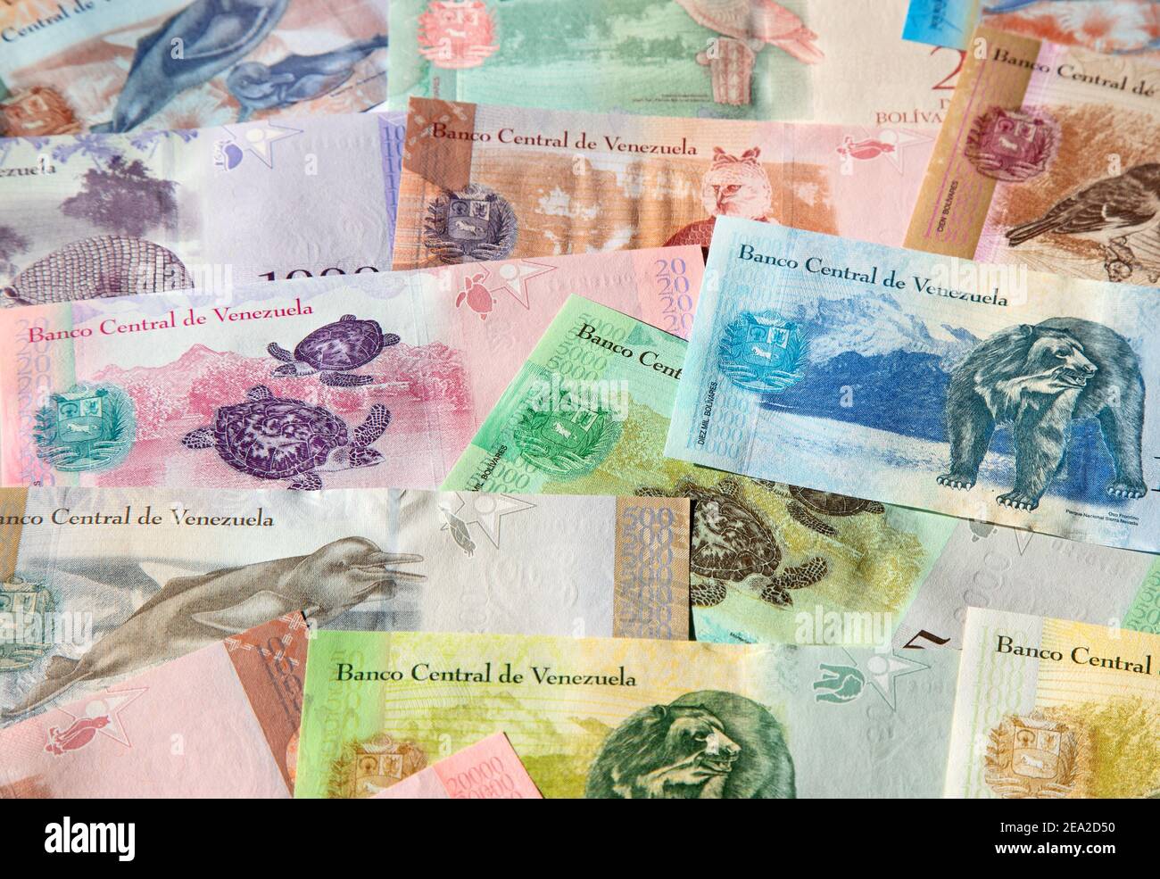 Variety of banknotes of Venezuela Stock Photo - Alamy