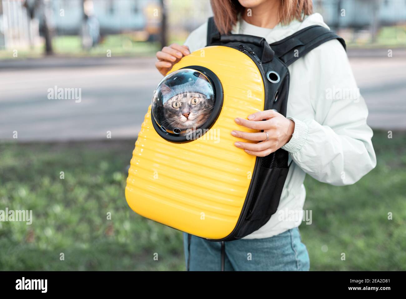 Funny yellow backpack with a transparent window porthole for walking ...