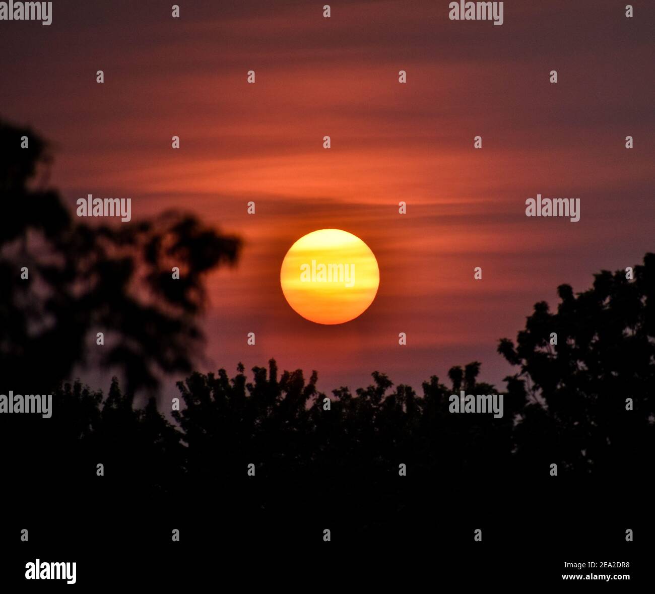A breathtaking view of sunset sky with silhouetted tree Stock Photo - Alamy