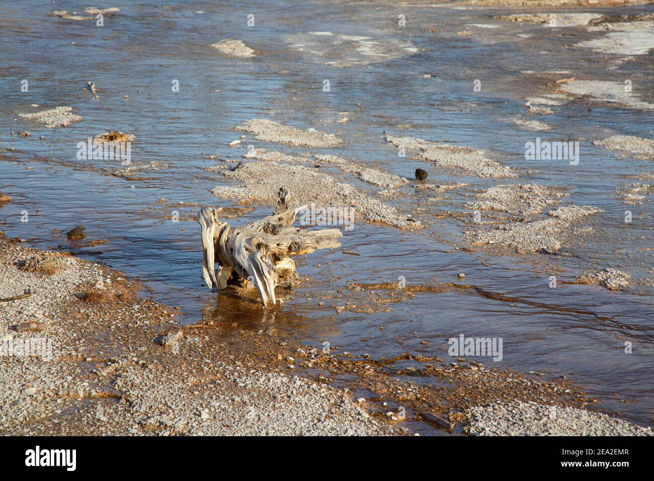 Lower geyser basin in the Yellowstone National park, USA Stock Photo ...