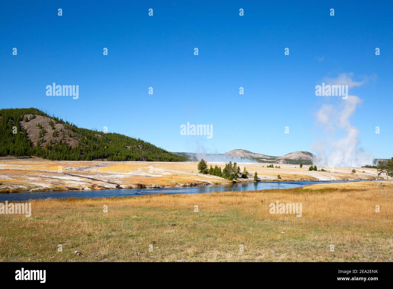 Lower geyser basin in the Yellowstone National park, USA Stock Photo ...