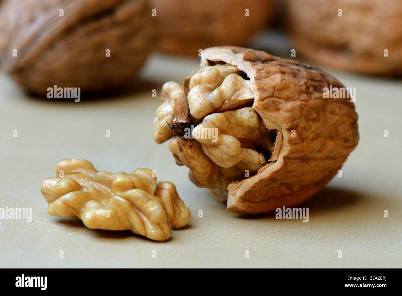Walnut opened hi-res stock photography and images - Alamy
