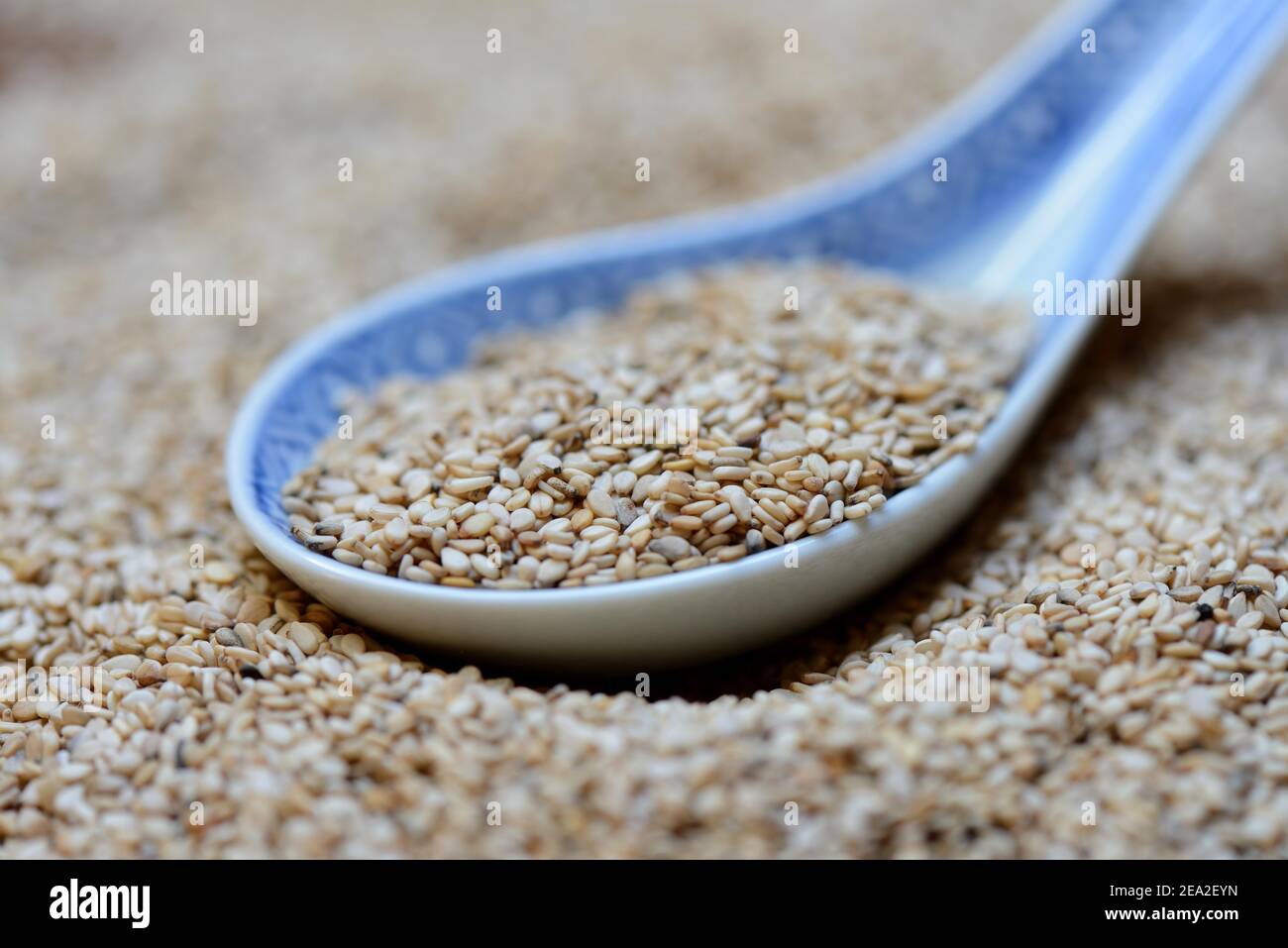 Asian seed hi-res stock photography and images - Alamy