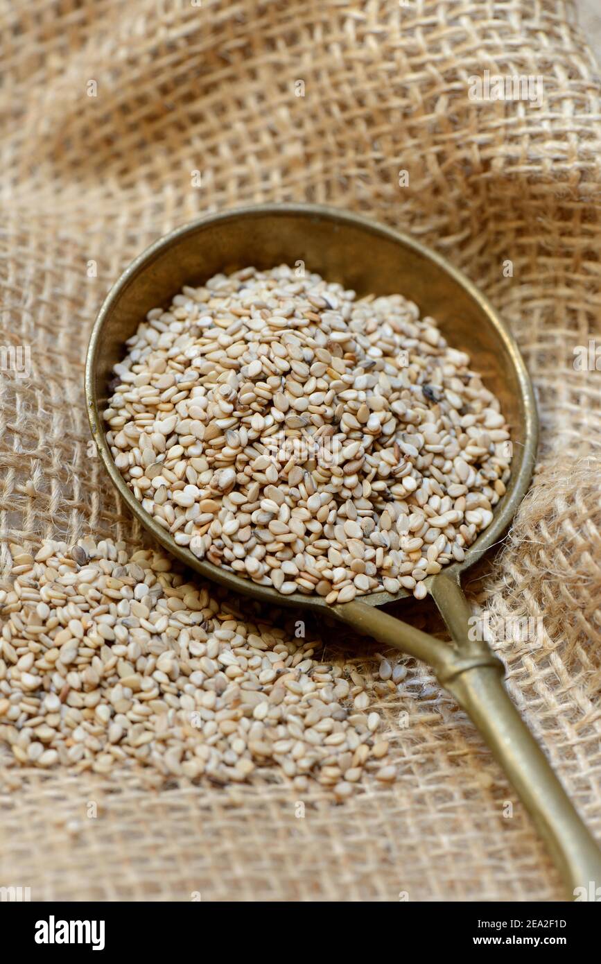 White seed hi-res stock photography and images - Alamy