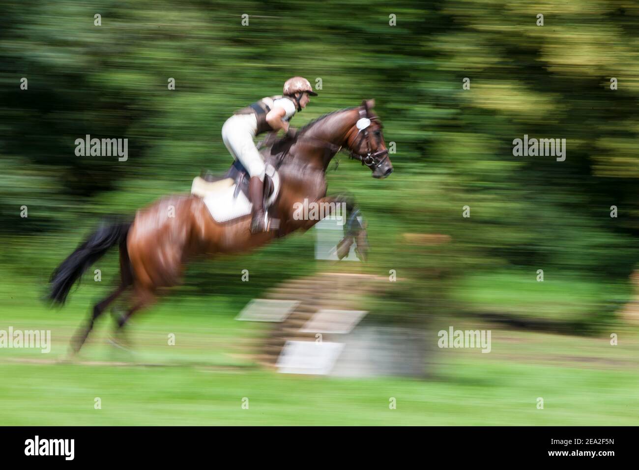 Rider over jumps obstacle with horse, blurred, show jumping, Laupheim ...
