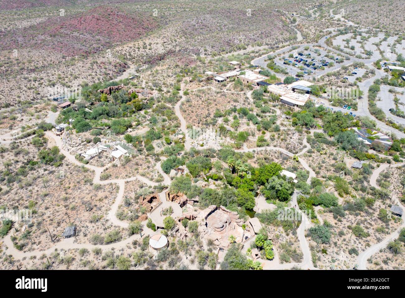 Arizona-Sonora Desert Museum, Tuscon, Pima County, AZ ,USA Stock Photo ...