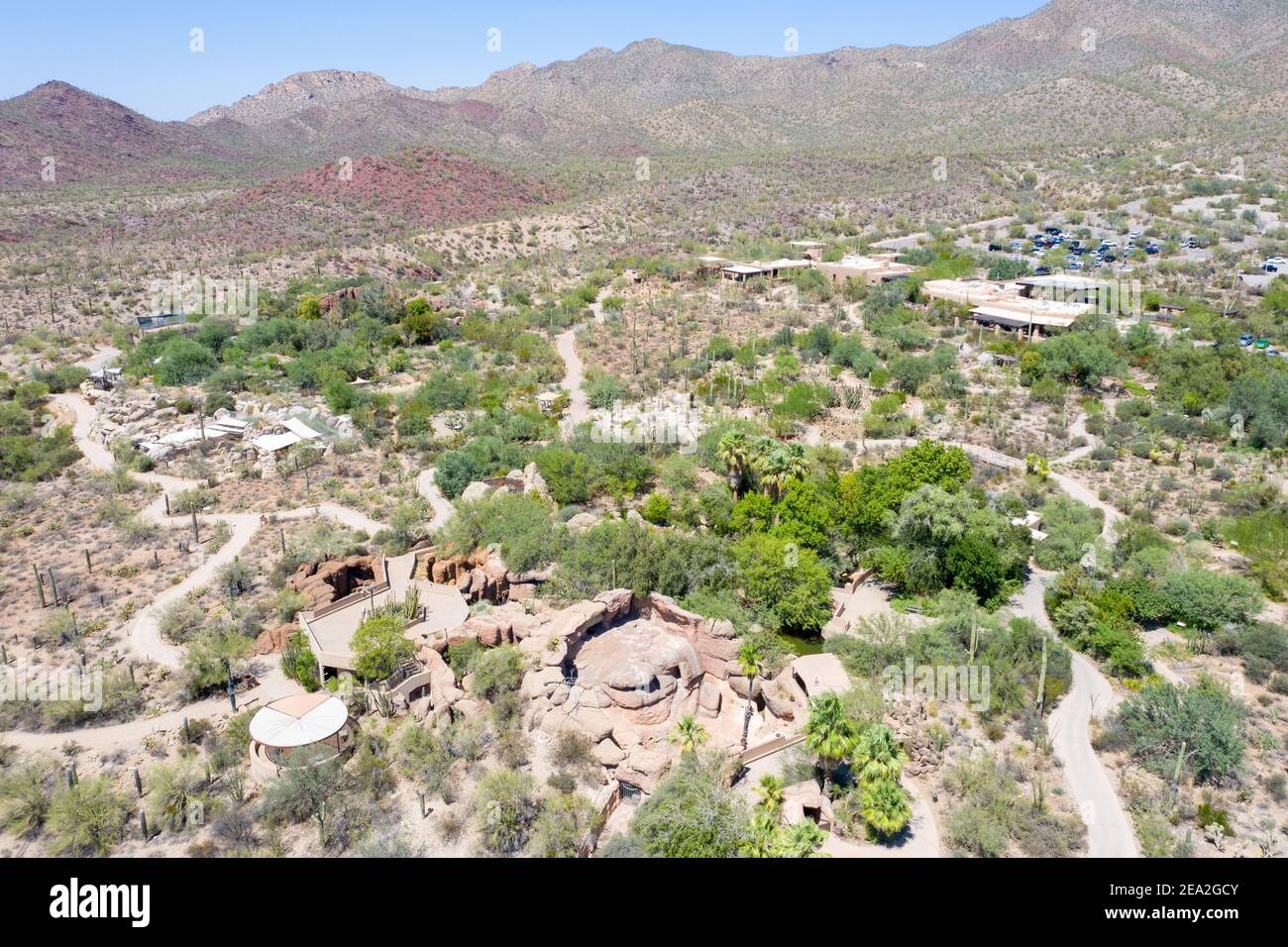 Arizona sonora desert museum hi-res stock photography and images - Alamy