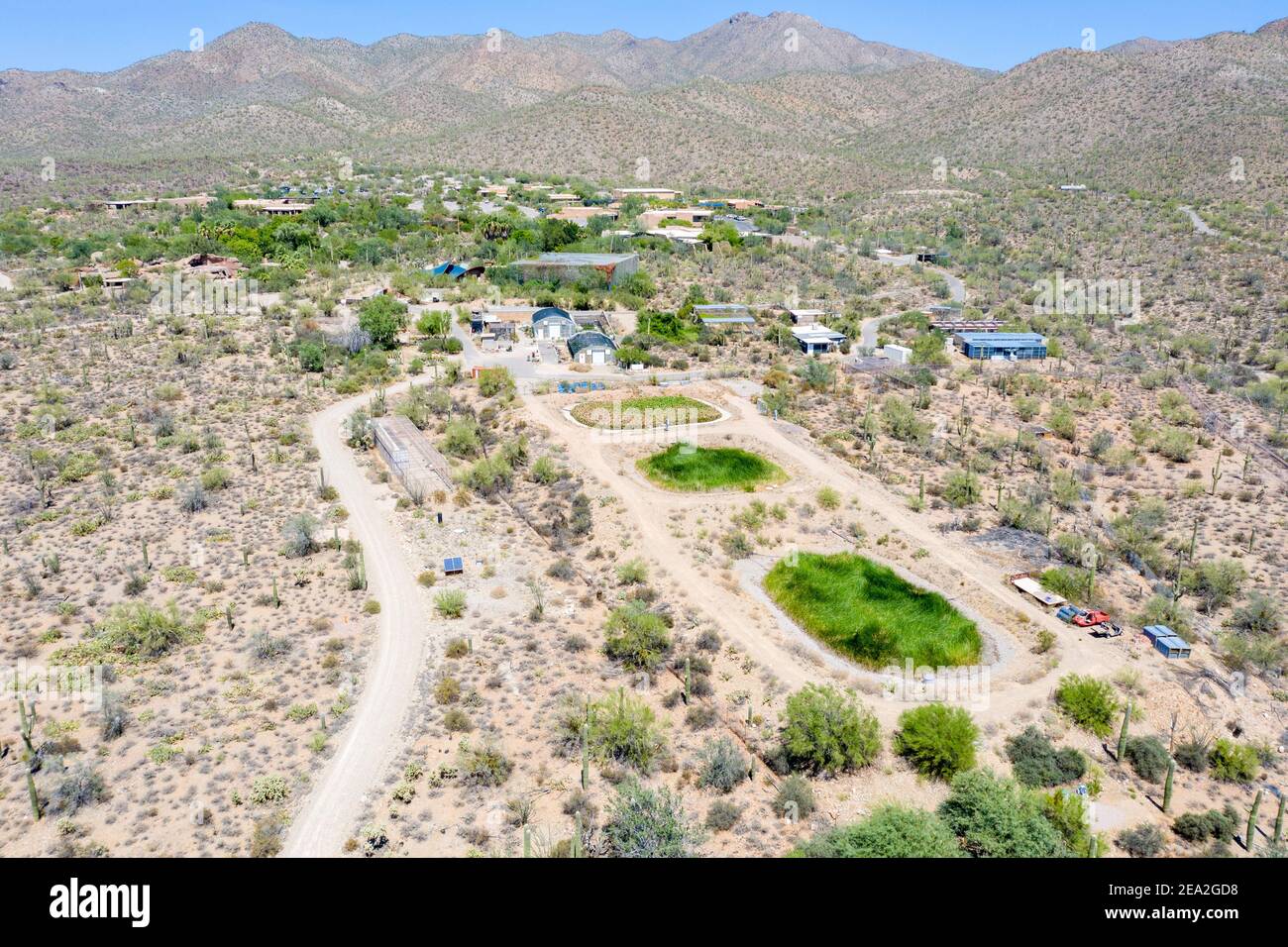 Arizona-Sonora Desert Museum, Tuscon, Pima County, AZ ,USA Stock Photo ...