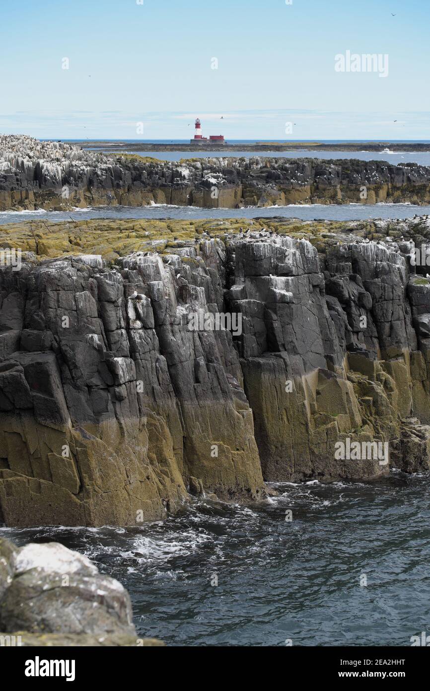 Longstone lighthouse, Farne Islands, Northumberland, England, UK Stock ...