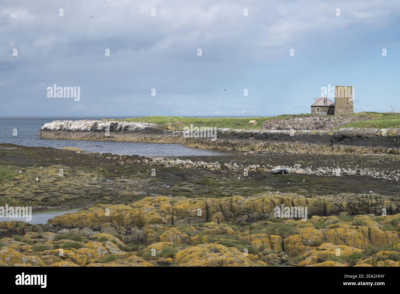 Tide mark hi-res stock photography and images - Alamy