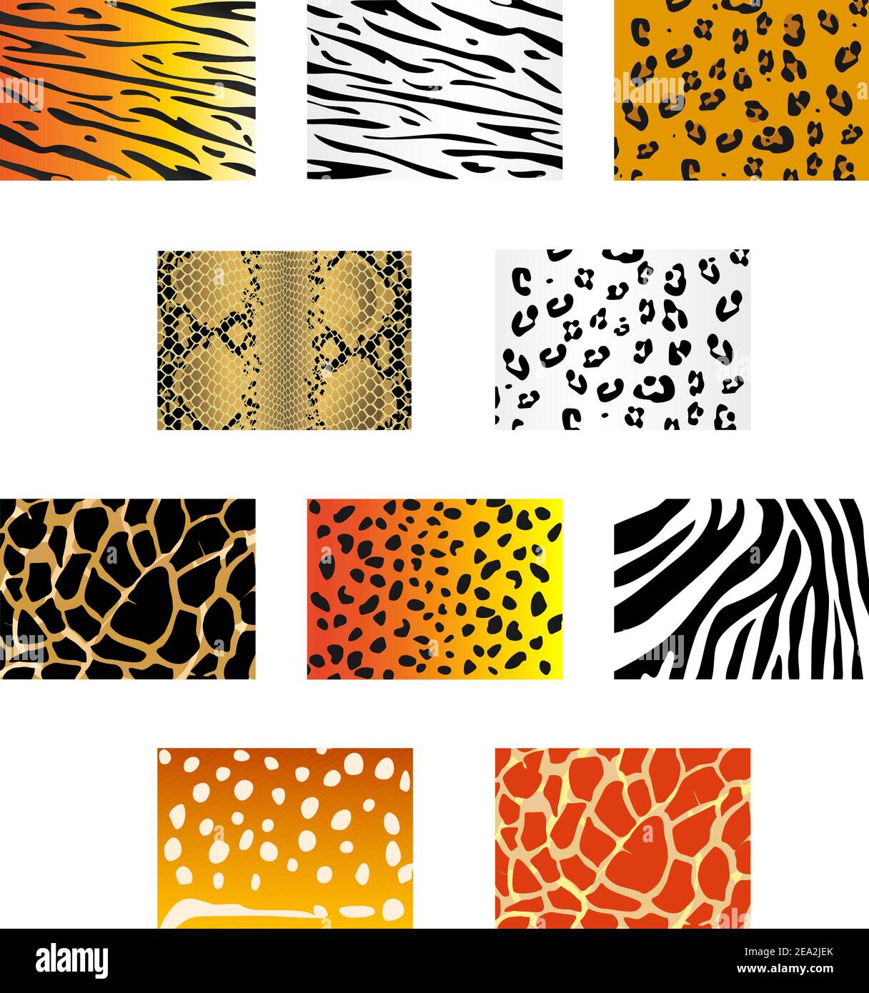 Set of animal fur and skin patterns for design Stock Vector Image & Art ...