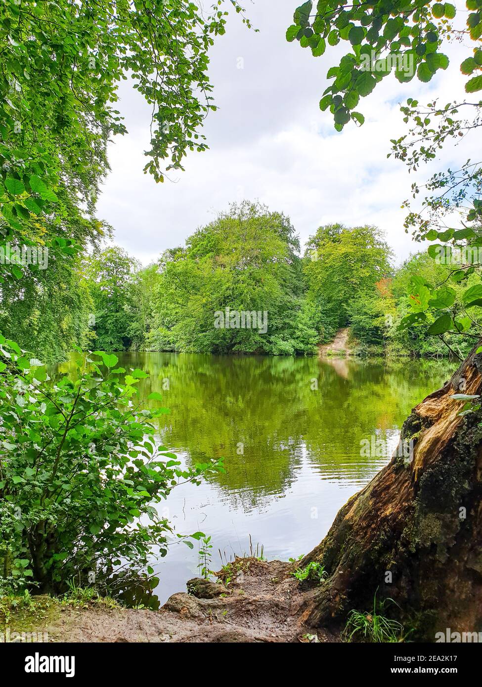 Pond lake tree water reflection, Park Lime Pits Nature Reserve Walsall ...