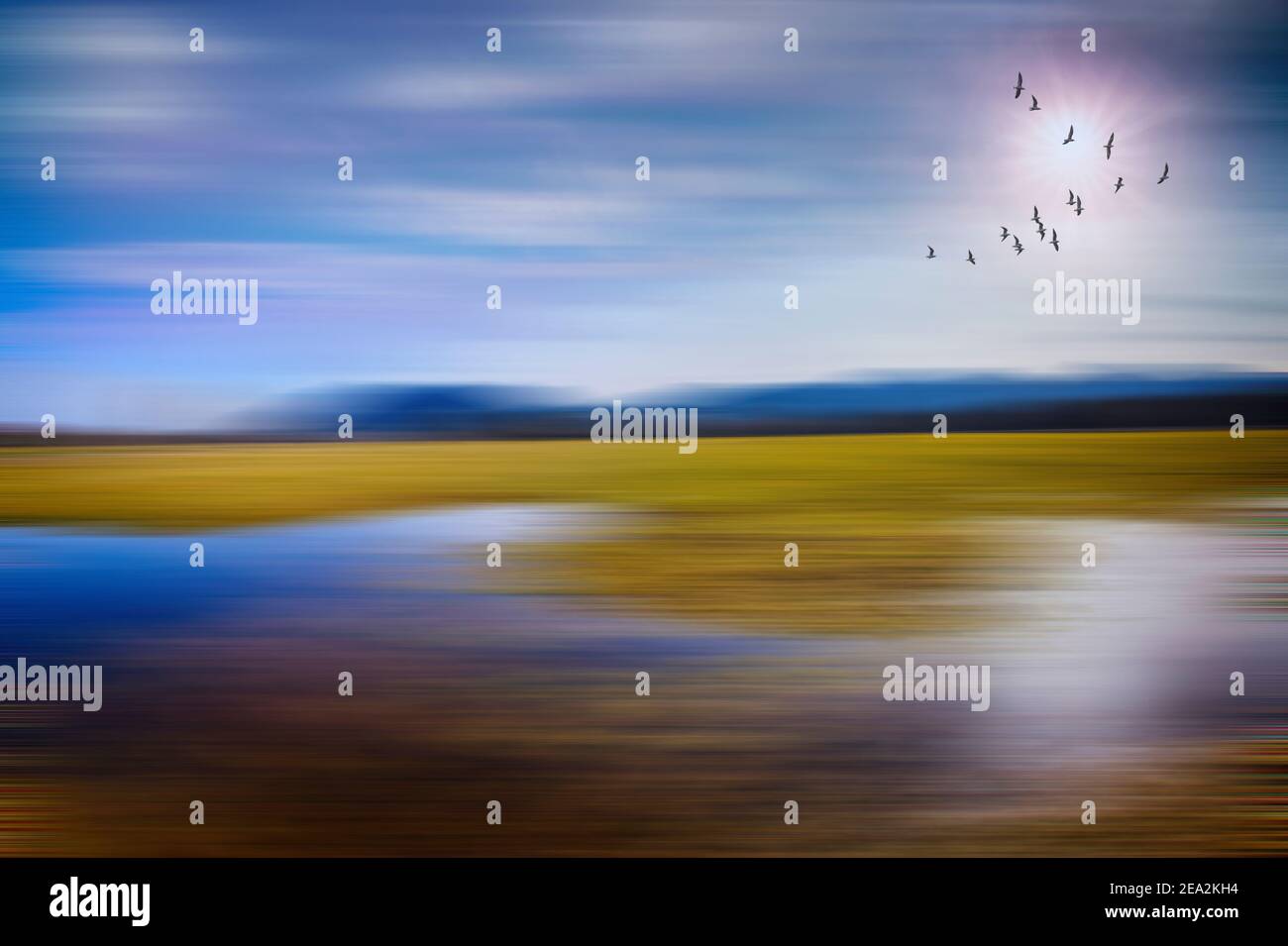 Contemporary german art hi-res stock photography and images - Alamy