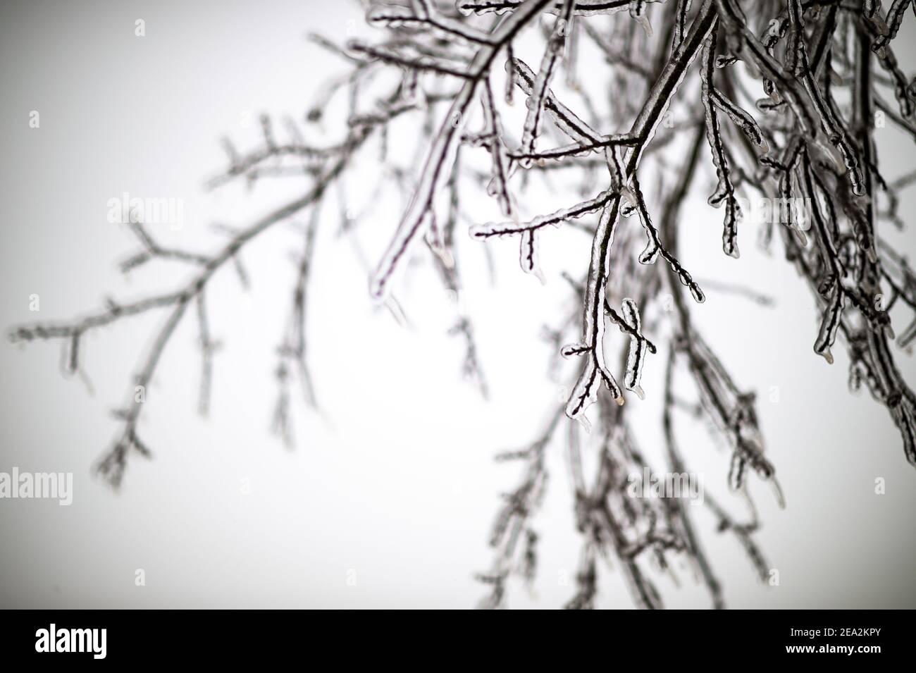 Heavy freezing rain ice storm hi-res stock photography and images - Alamy
