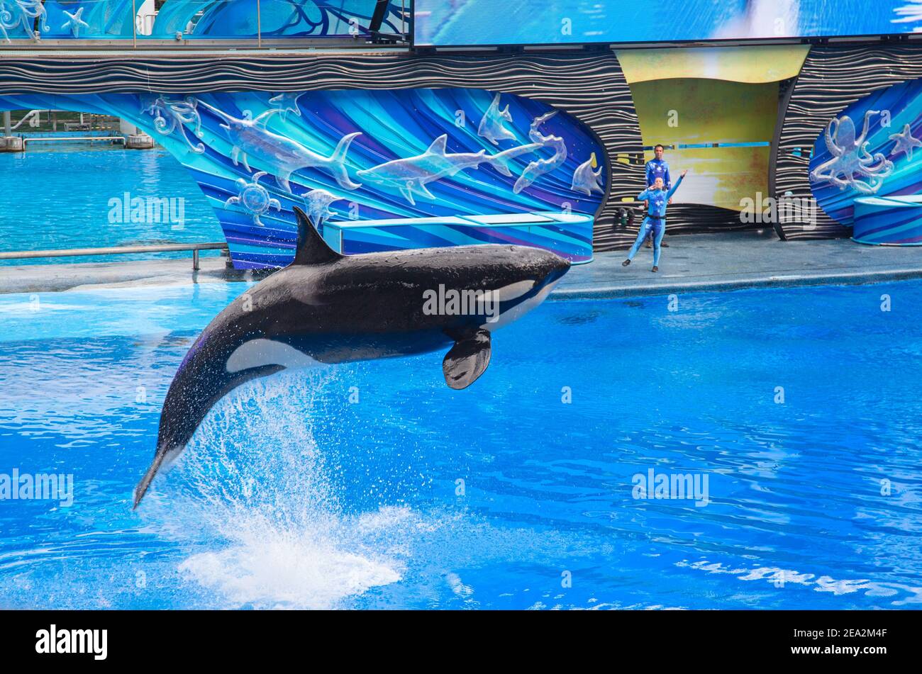 ORLANDO, FLORIDA, USA - DECEMBER 1, 2019: Unidentified people watching ...
