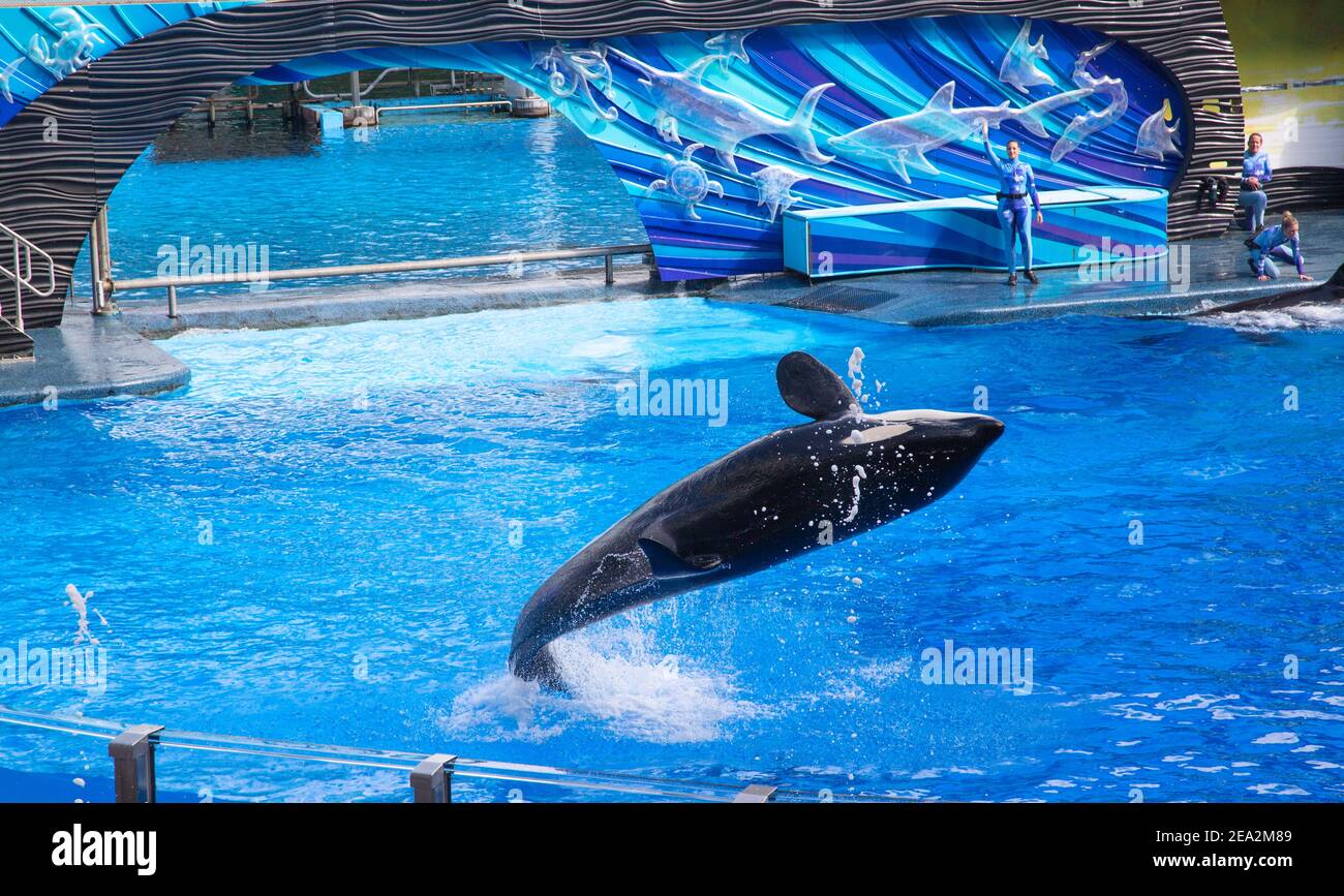 Orlando water amusement park seaworld hi-res stock photography and ...