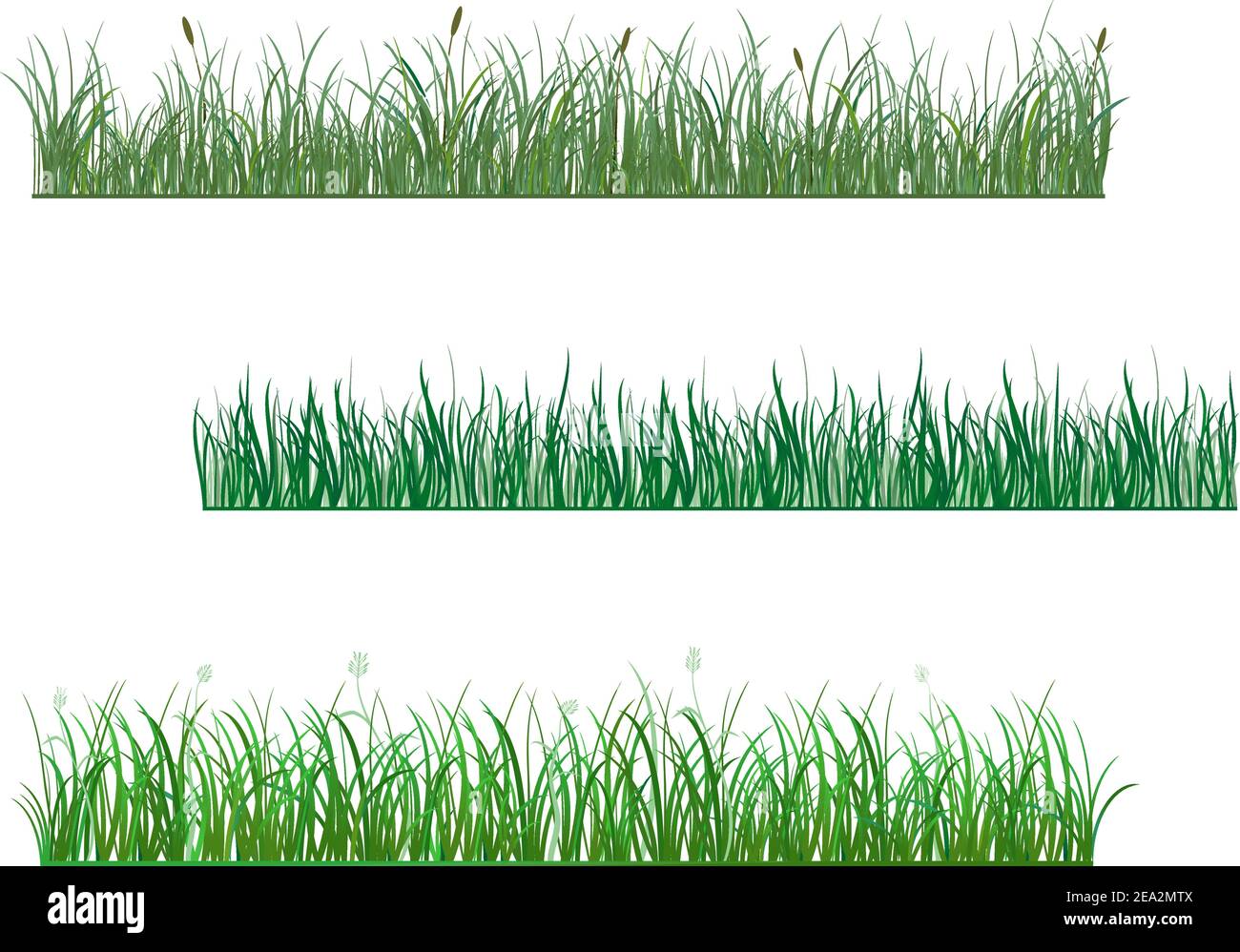 Lush grass close up Stock Vector Images - Alamy