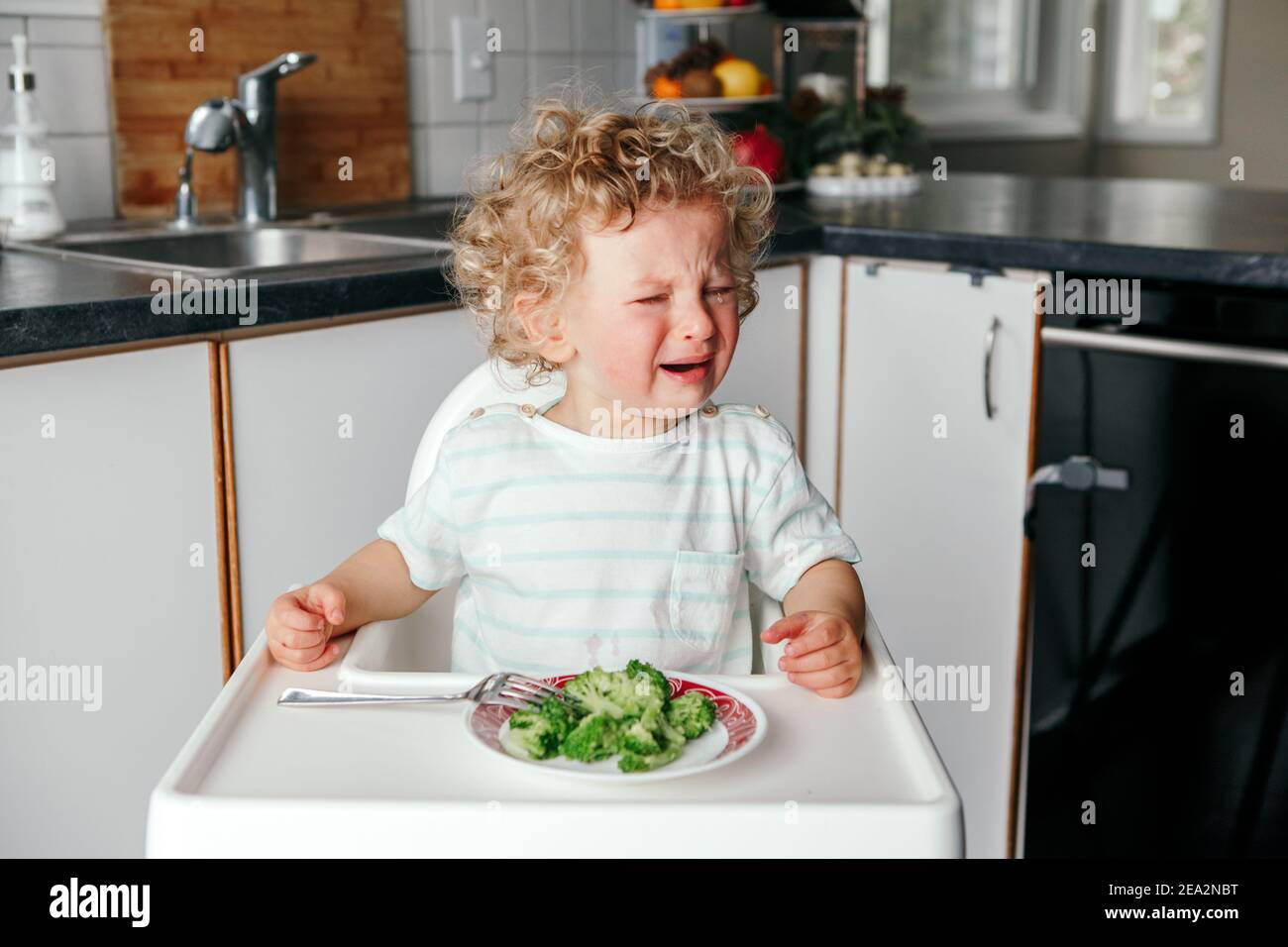 Crying Caucasian kid boy sitting in high chair with broccoli on plate ...