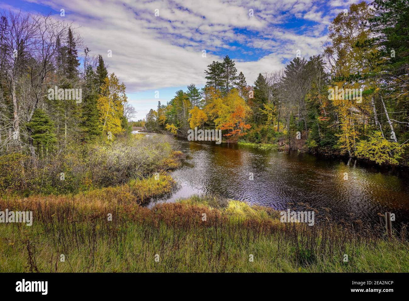 Scenic colorful Autumn trees along the Wisconsin River in Land O'Lakes ...