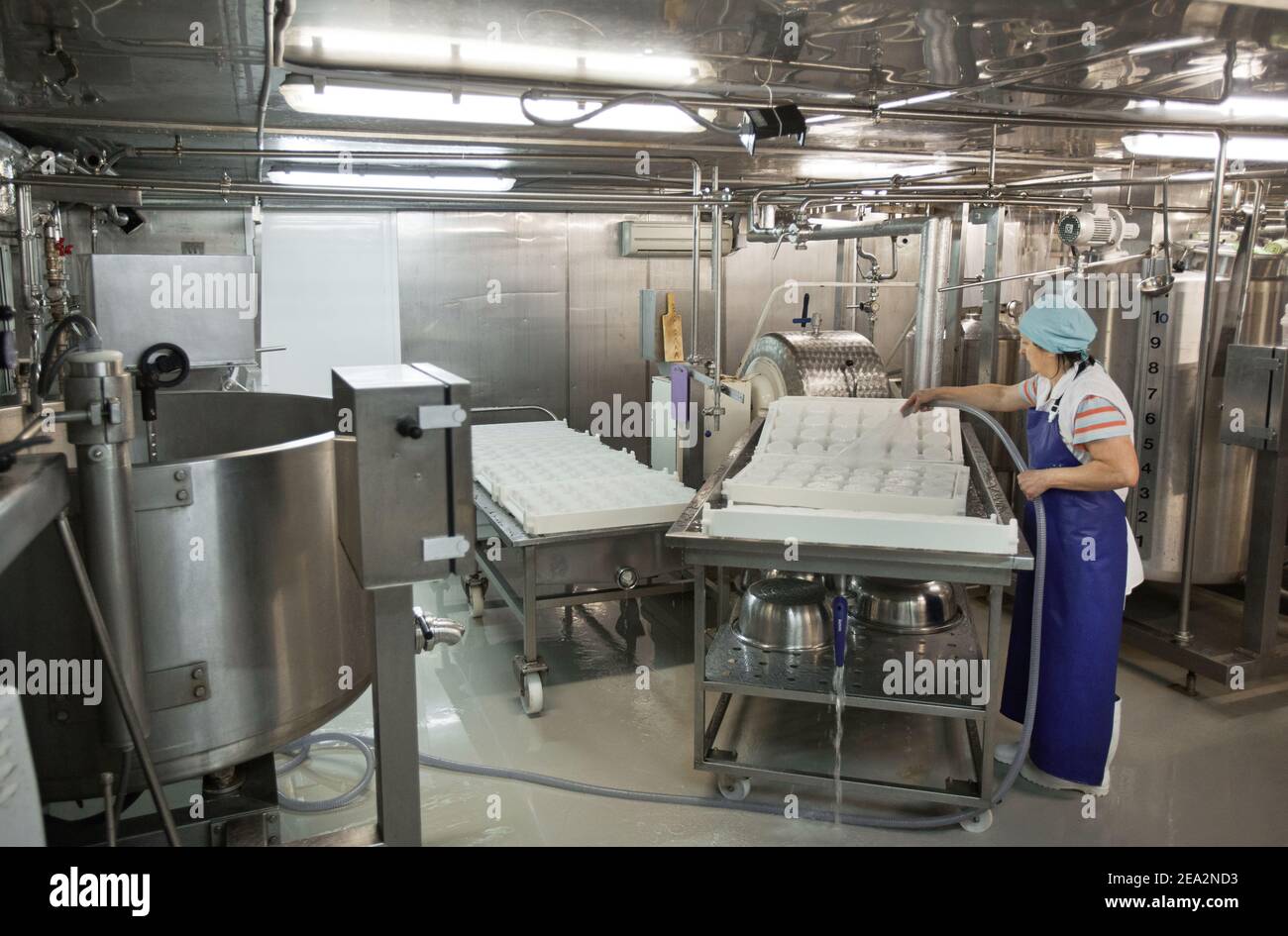 Full length of female worker washing tools and equipment at cheese and ...