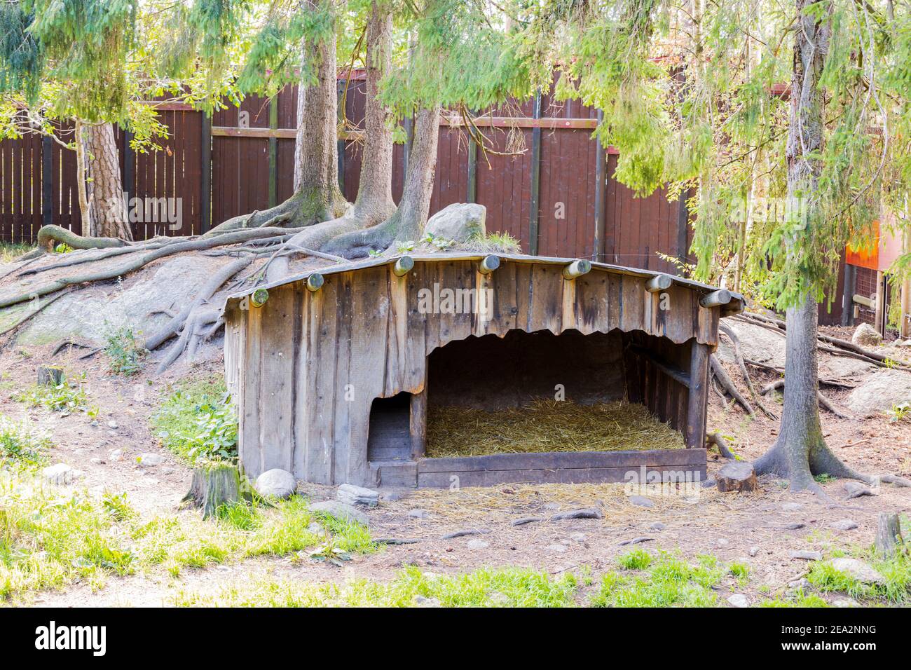 Close up view of outdoor zoo aviary. Wild animals concept Stock Photo ...
