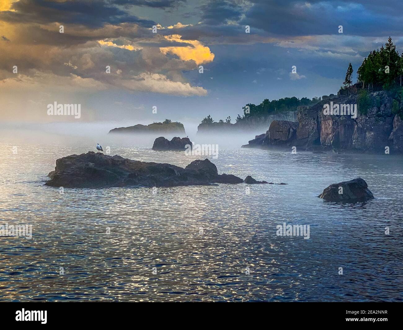 Mystical forces nature black hi-res stock photography and images - Alamy