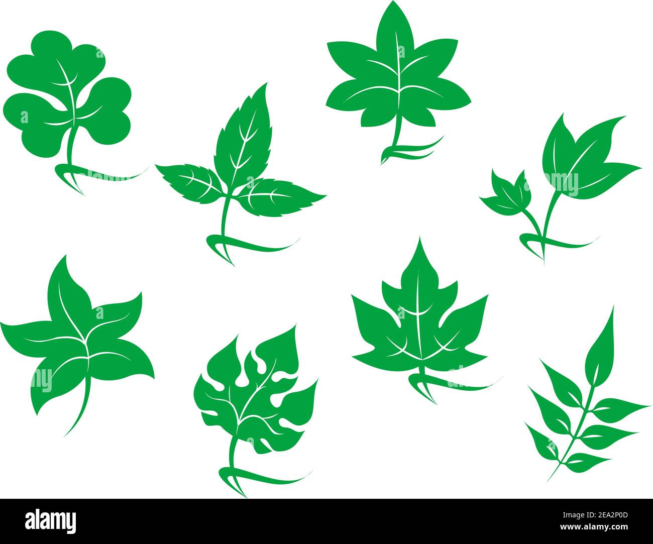 Set of leaves icons isolated on white Stock Vector Image & Art - Alamy