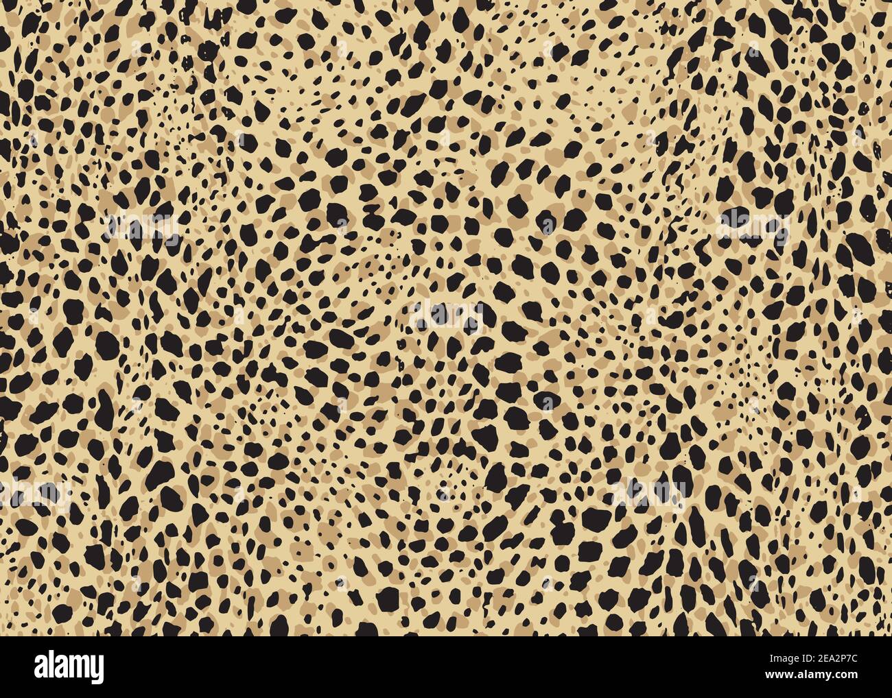 Cheetah spots pattern design. Vector illustration background. Wildlife ...