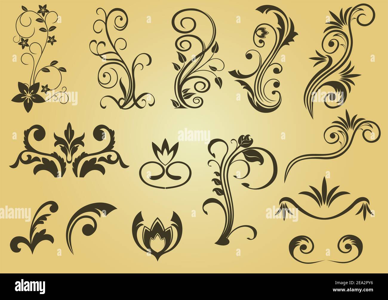 Flower patterns and borders for design and ornate Stock Vector Image ...