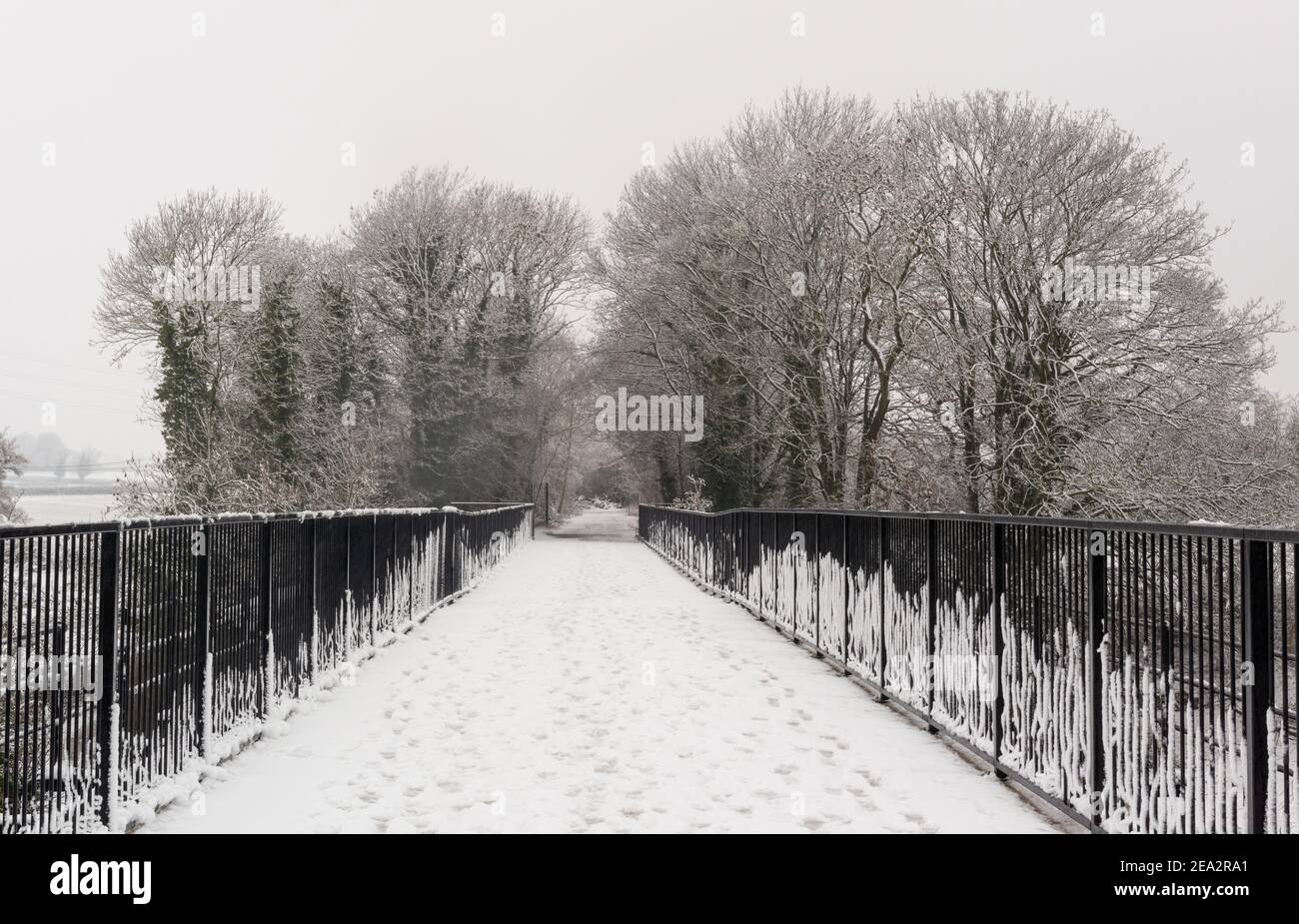 Snowy winter view along a straight tree lined cycle path, and footpath ...