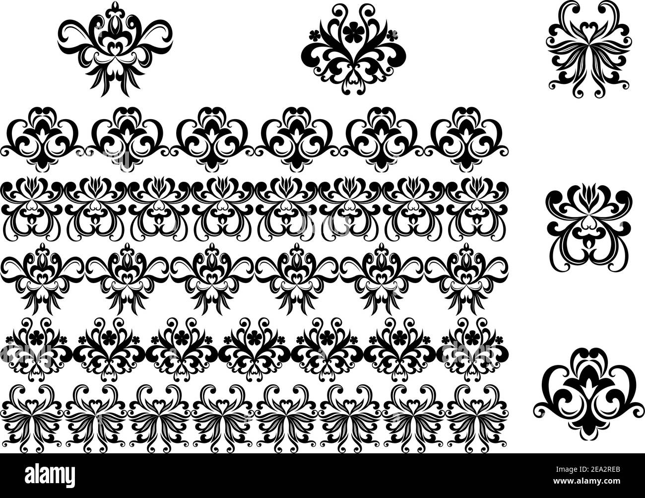 Flower patterns and borders for design and ornate Stock Vector Image ...