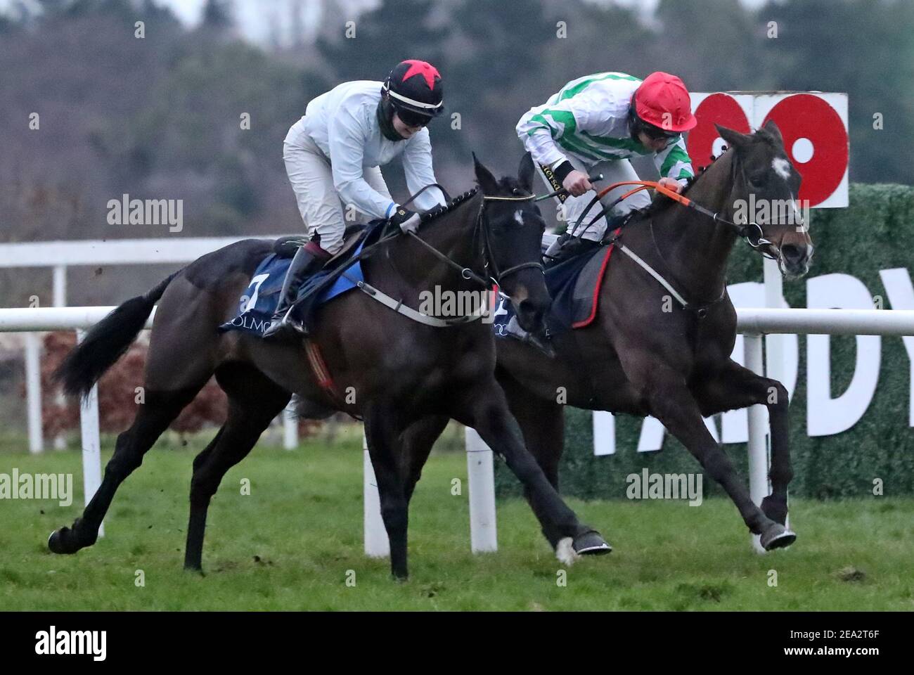 Grangee horse hi-res stock photography and images - Alamy