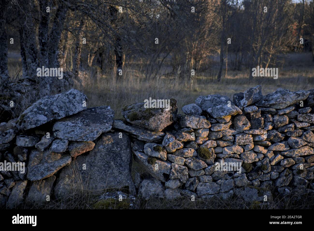 The pastures of the Mirandese plateau, with its stone walls Stock Photo ...