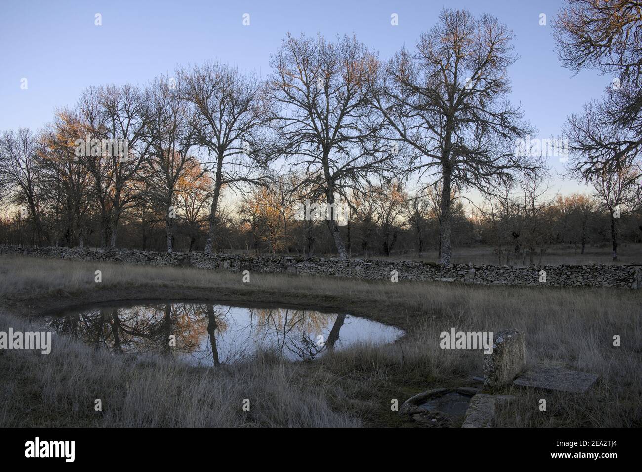 The pastures of the Mirandese plateau, with its stone walls Stock Photo ...
