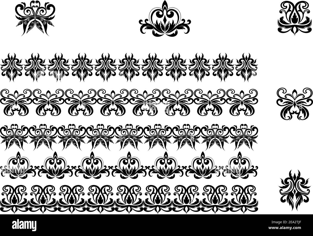 Flower patterns and borders for design and ornate Stock Vector Image ...