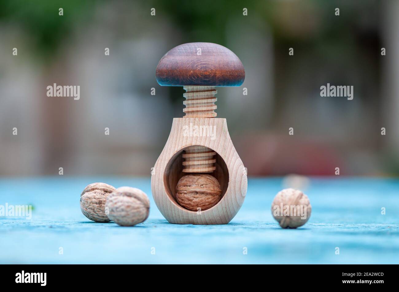 Walnut inside hi-res stock photography and images - Alamy