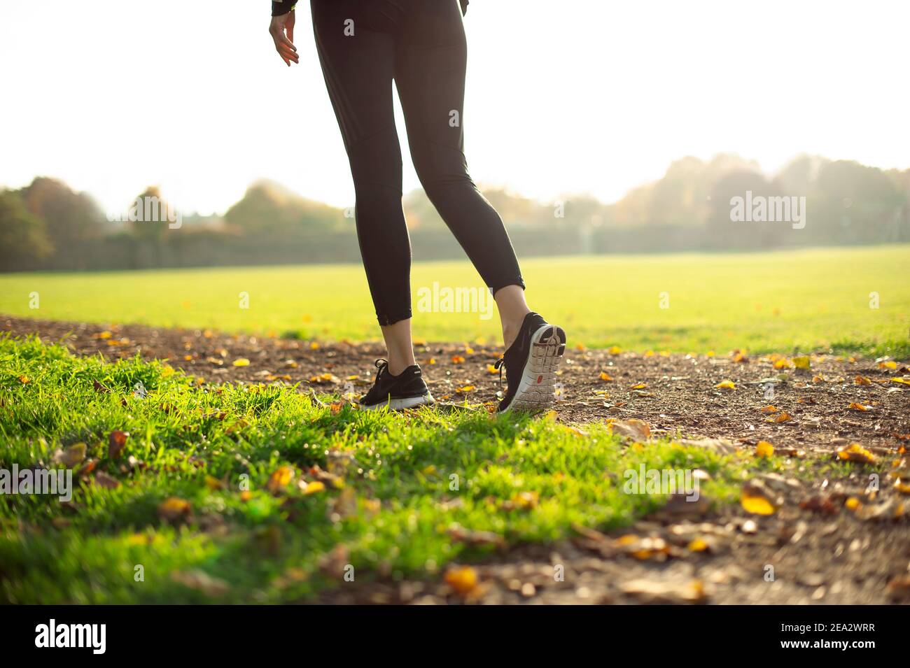 Low angle view of sporty woman walking on track in green park, close up ...