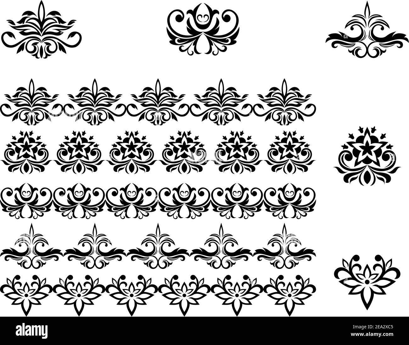 Flower patterns and borders for design and ornate Stock Vector Image ...
