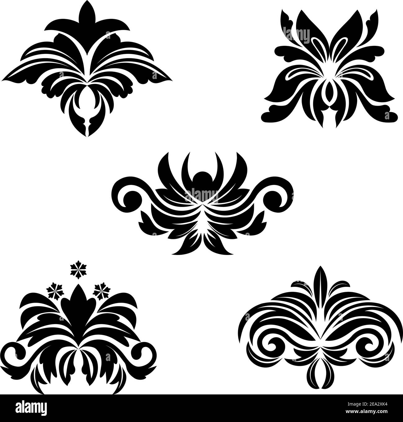 Black flower patterns for design and ornate Stock Vector Image & Art ...