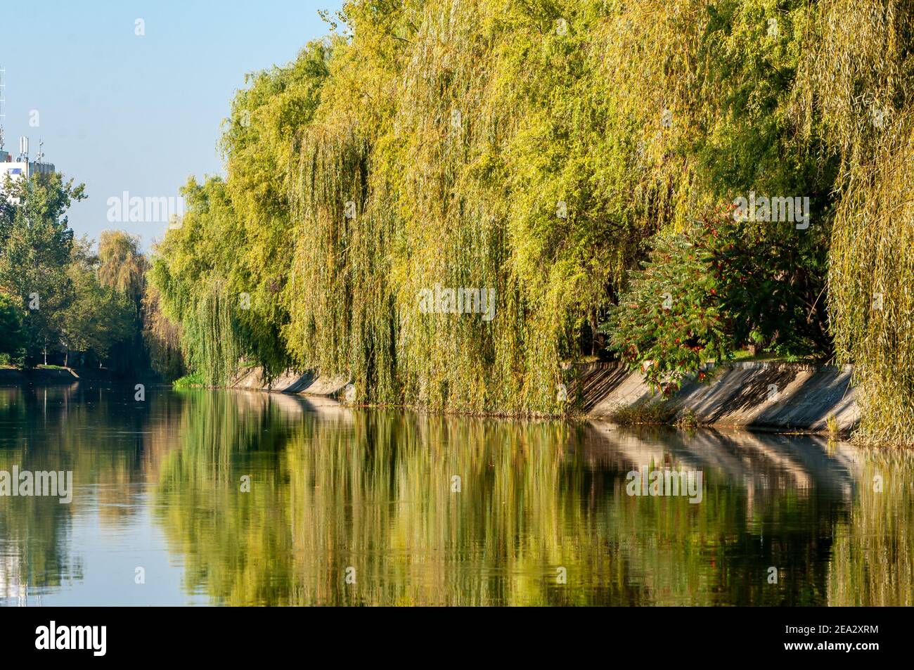 A view of the Bega river early in the morning with clear blue sky Stock ...