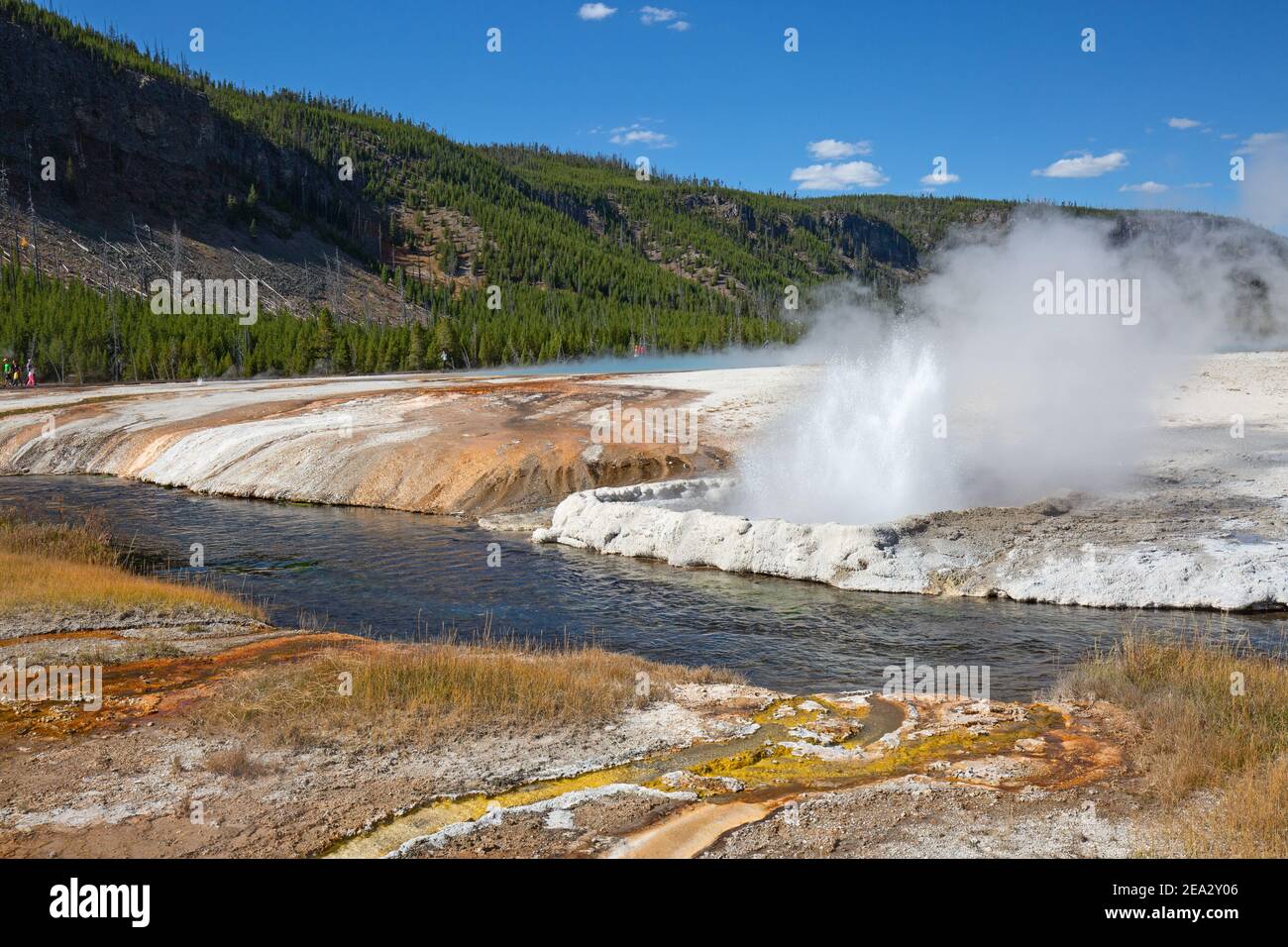 Geyser eruption in the Yellowstone national park, USA Stock Photo - Alamy