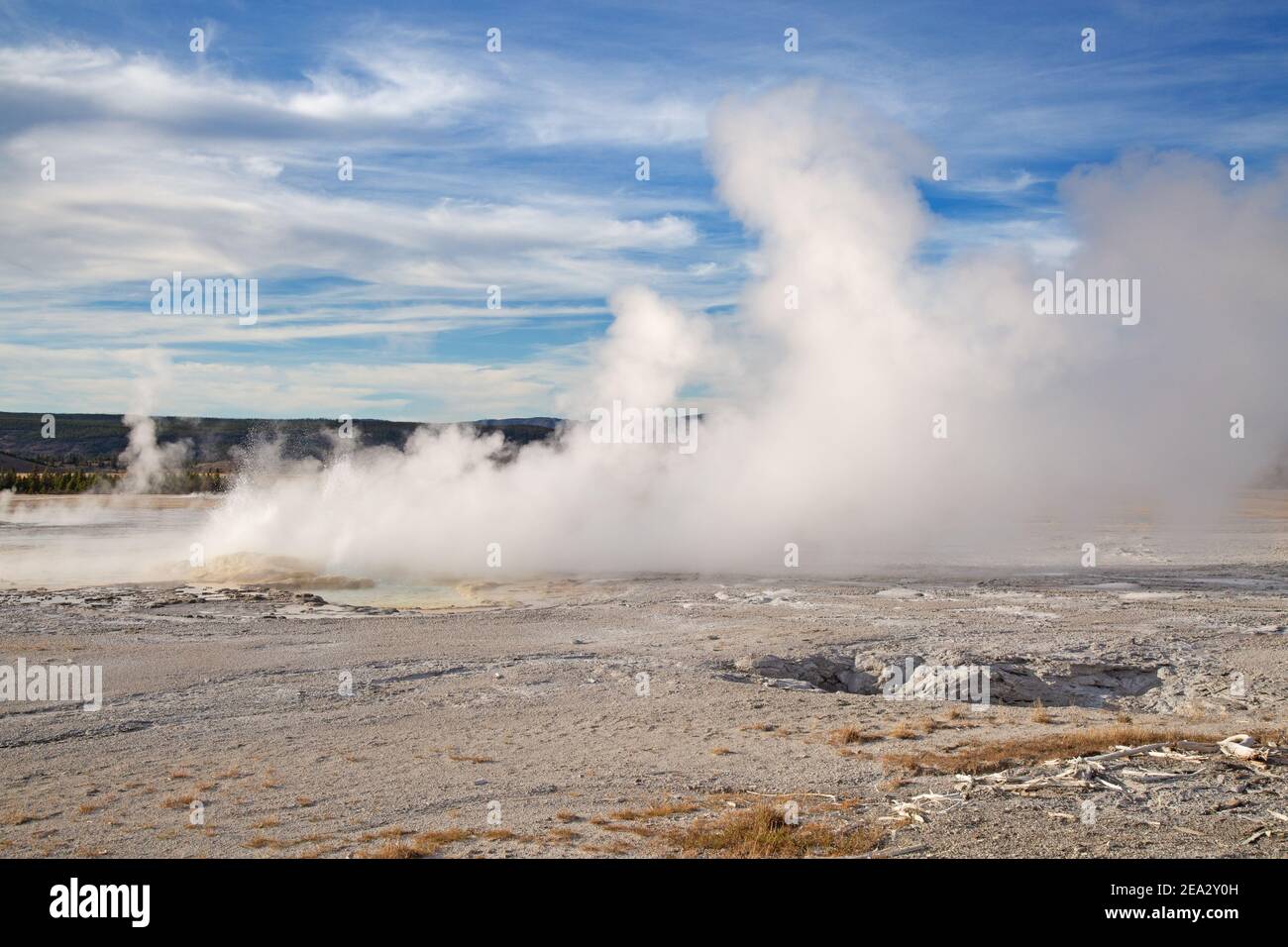 Geyser eruption in the Yellowstone national park, USA Stock Photo - Alamy