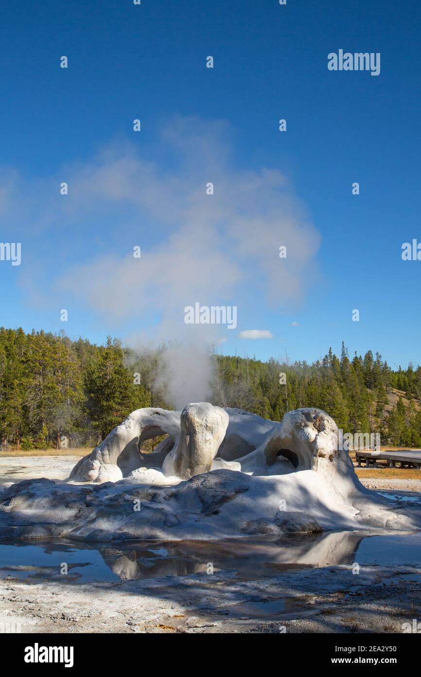 Geyser eruption in the Yellowstone national park, USA Stock Photo - Alamy