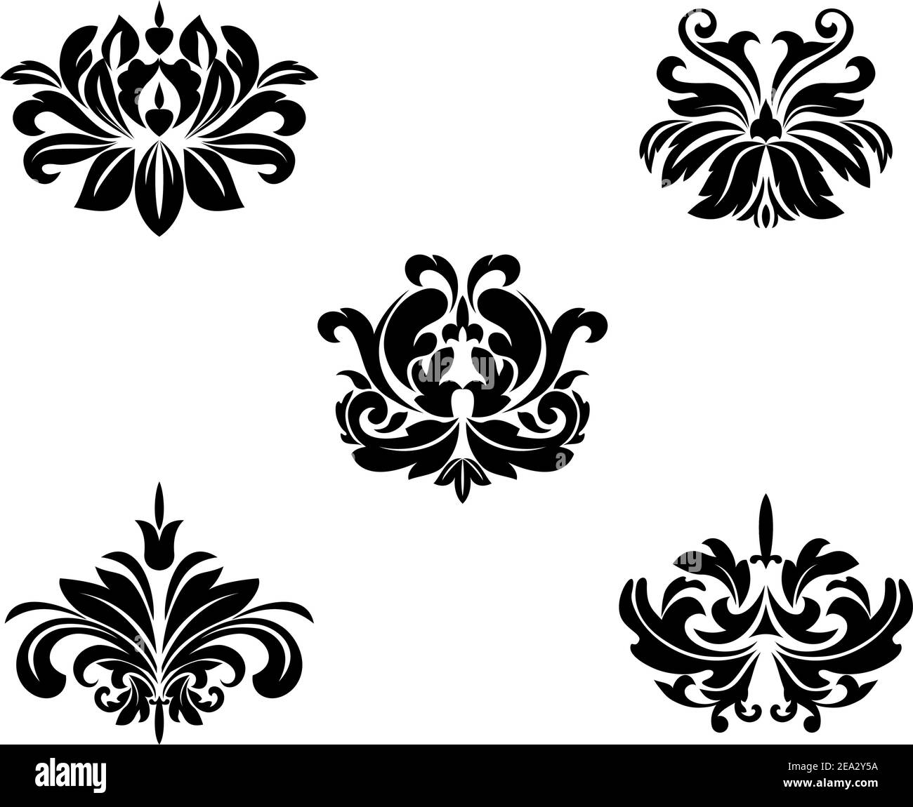 Black flower patterns for design and ornate Stock Vector Image & Art ...