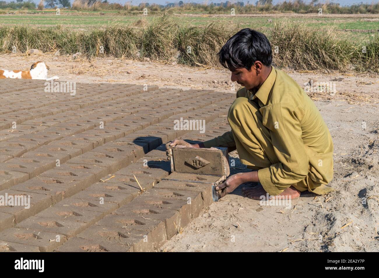 Brick kiln/factory near Lahore, Punjab, Pakistan Stock Photo - Alamy