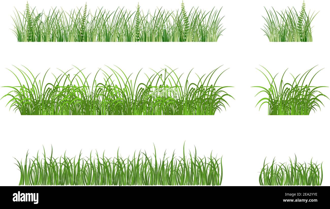 Green grass elements for design and decorate Stock Vector Image & Art - Alamy