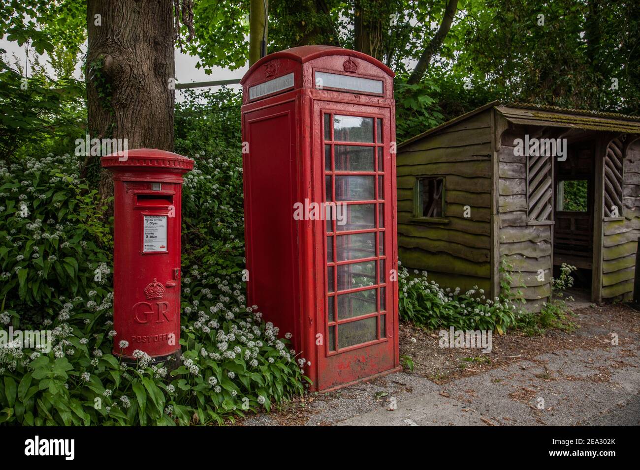 Elsted Village, nestled in the South Downs between Midhurst and ...