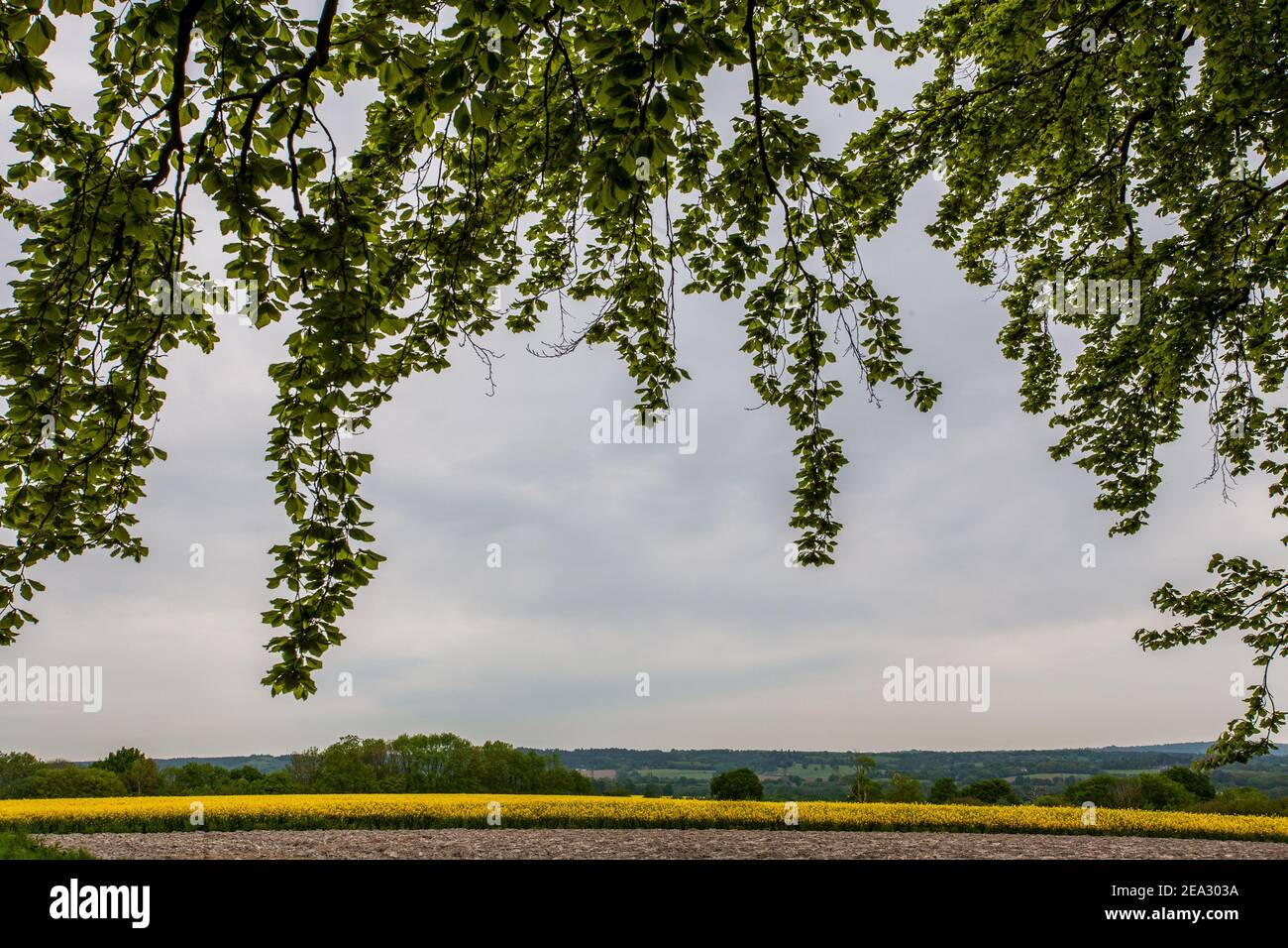 Midhurst West Sussex View High Resolution Stock Photography and Images ...
